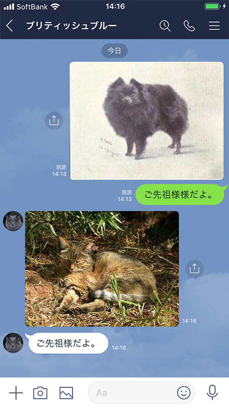 LINE 画像(写真)の送り方 | LINE(ライン)の使い方ガイド